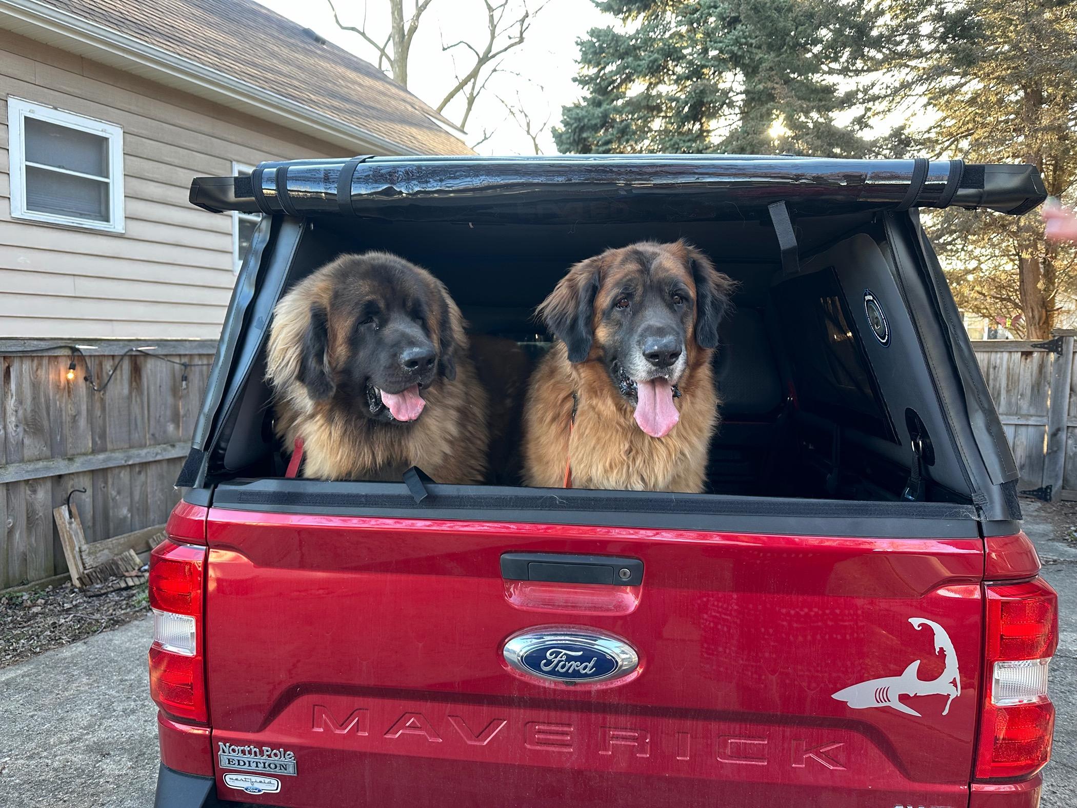 Flated inflatable topper installed on Maverick First Edition ...