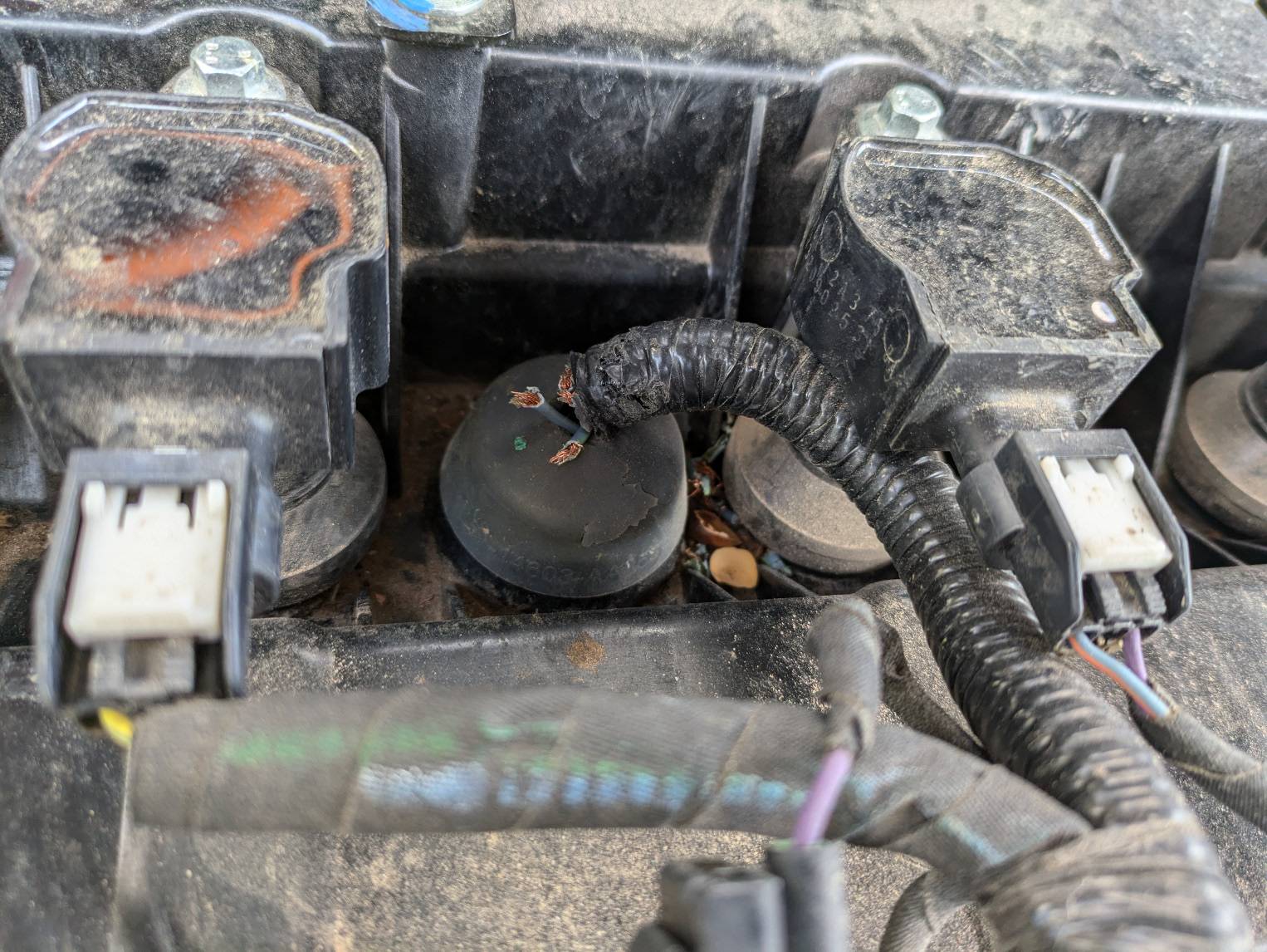 Mouse ate wires -> overheat warning -> emergency mode -> undrivable ...