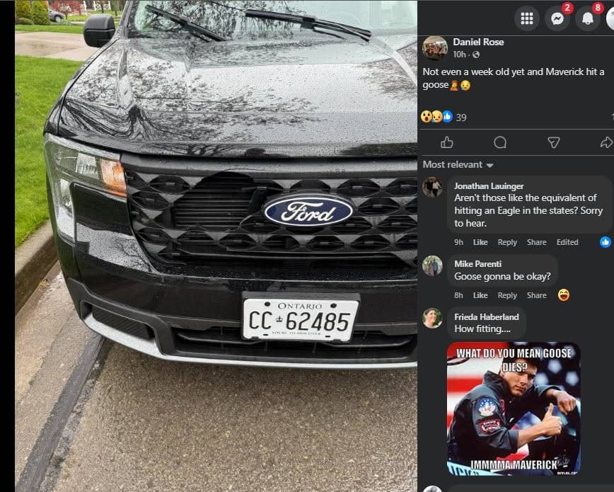 2 birds, 1 squirrel and now a raccoon | MaverickTruckClub - 2022+ Ford ...
