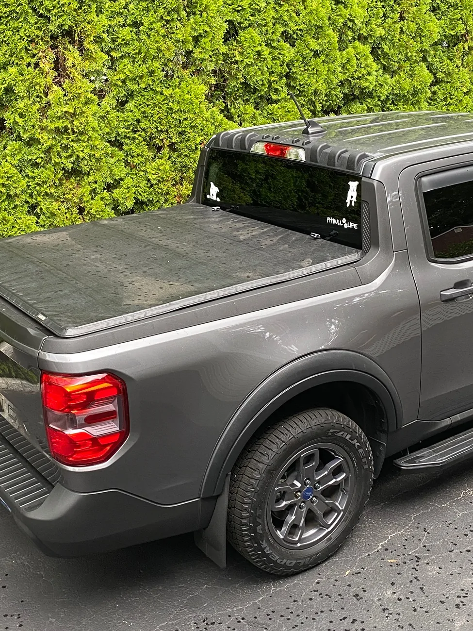 Protect Your Maverick ROOF! Cheap Mod That Works?! | MaverickTruckClub ...