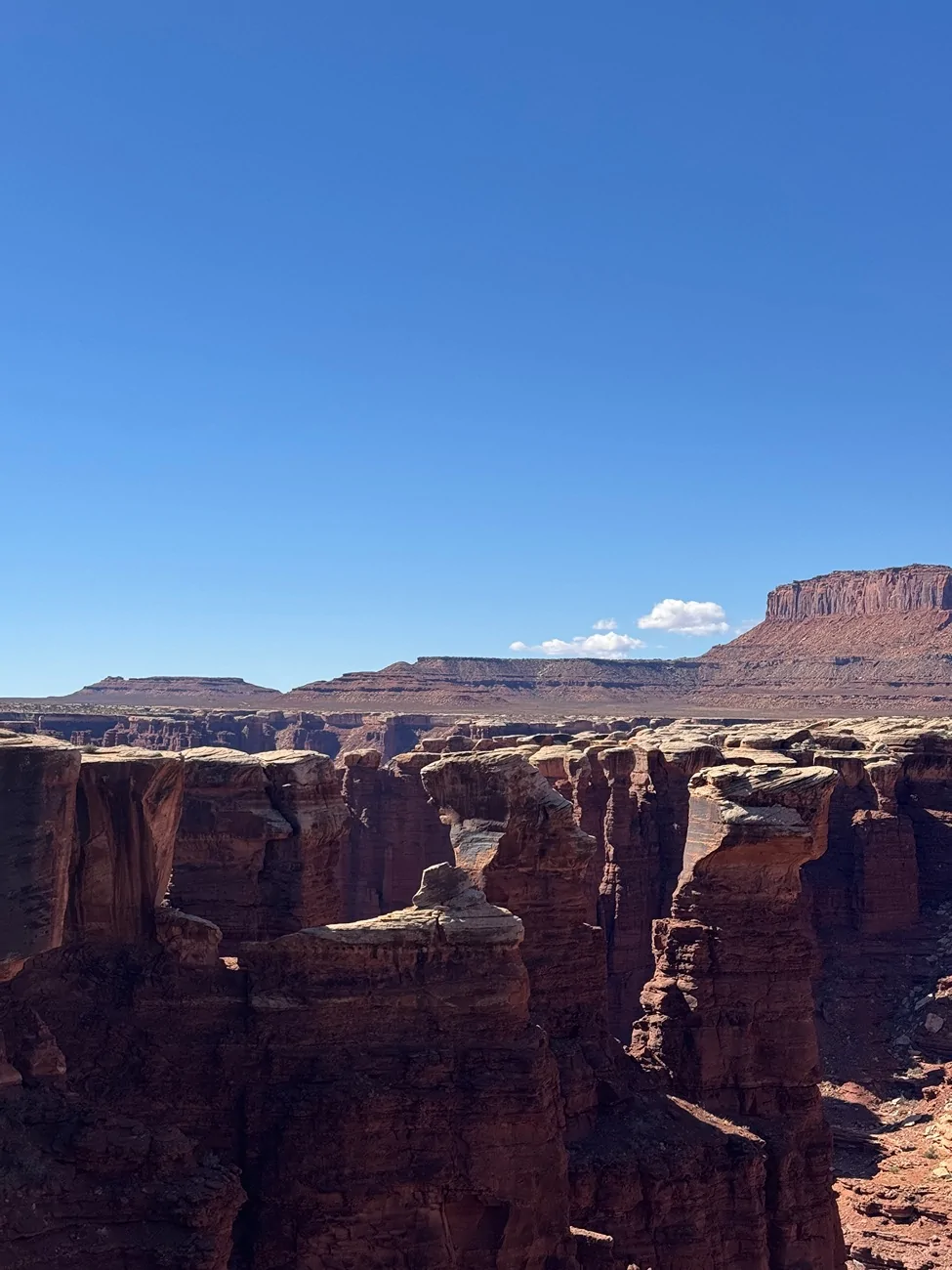 White Rim Trail (Moab) in my Maverick Tremor! | MaverickTruckClub ...