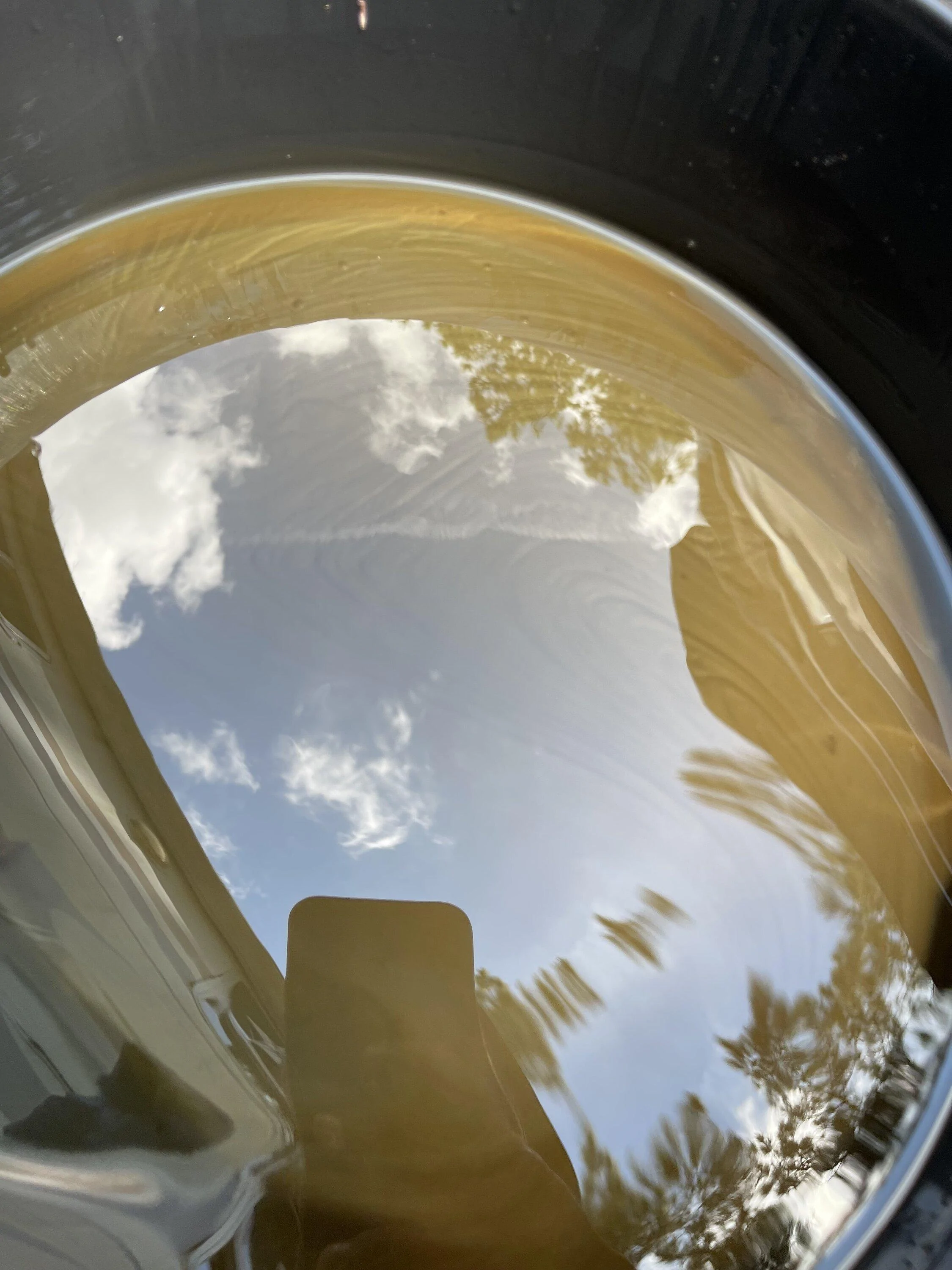 First Power Transfer Unit (PTU) fluid service done - results & photos ...