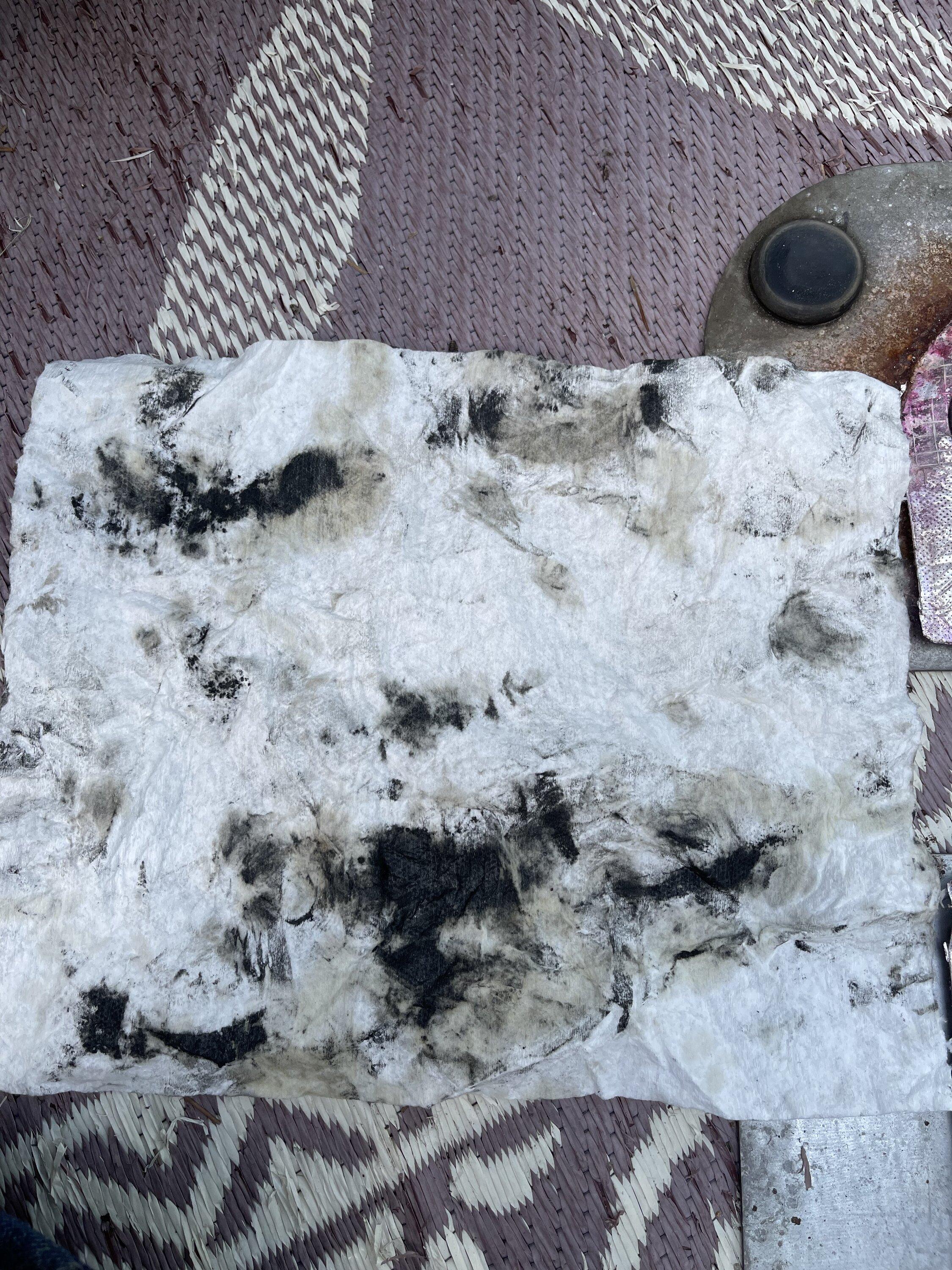 First Power Transfer Unit (PTU) fluid service done - results & photos ...